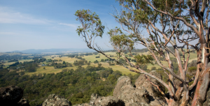 31 Best Day Trips from Melbourne Victoria (+ Weekend Getaways!)